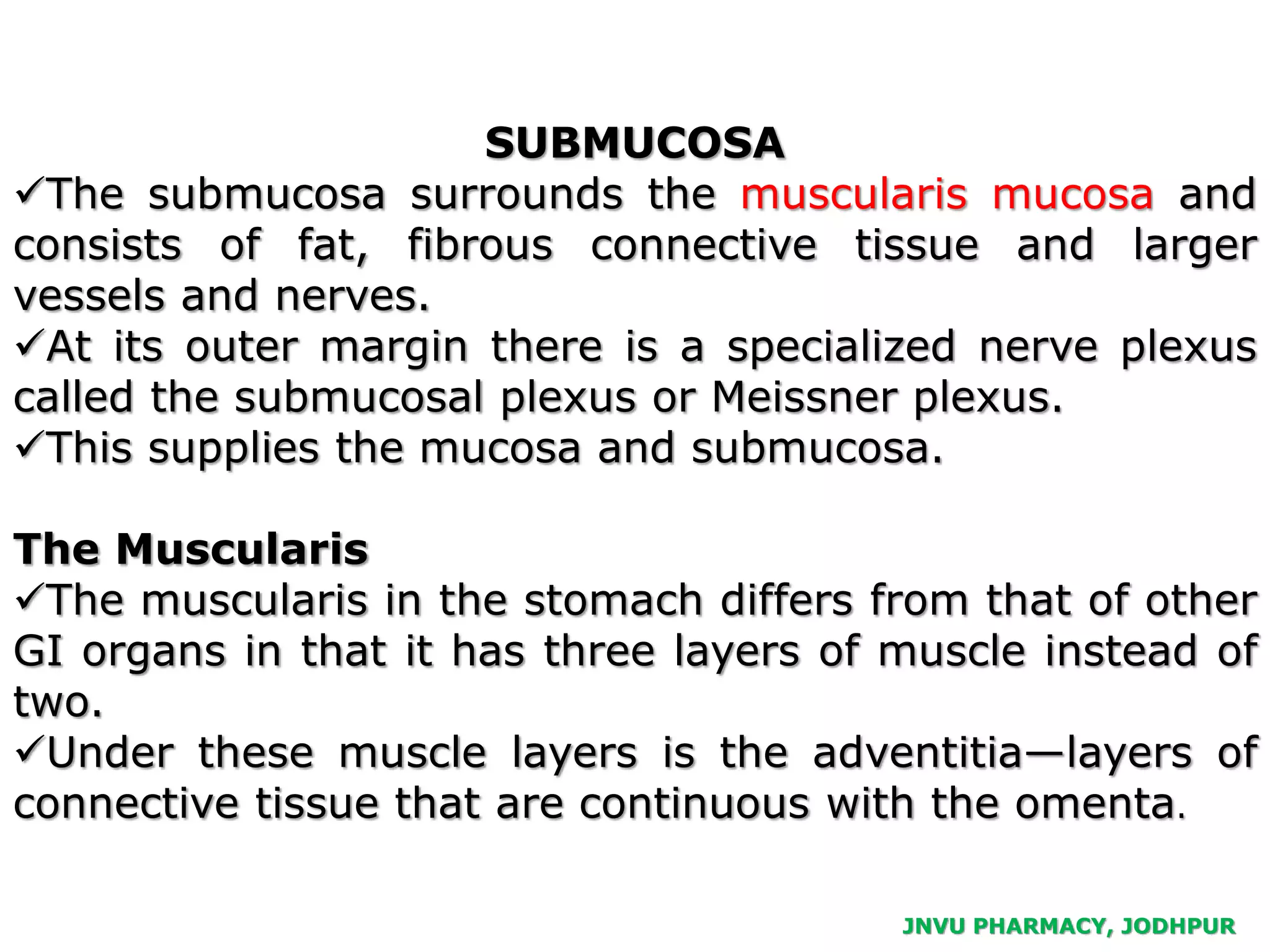 GASTROINTESTINAL TRACT LAYERS | PPTX