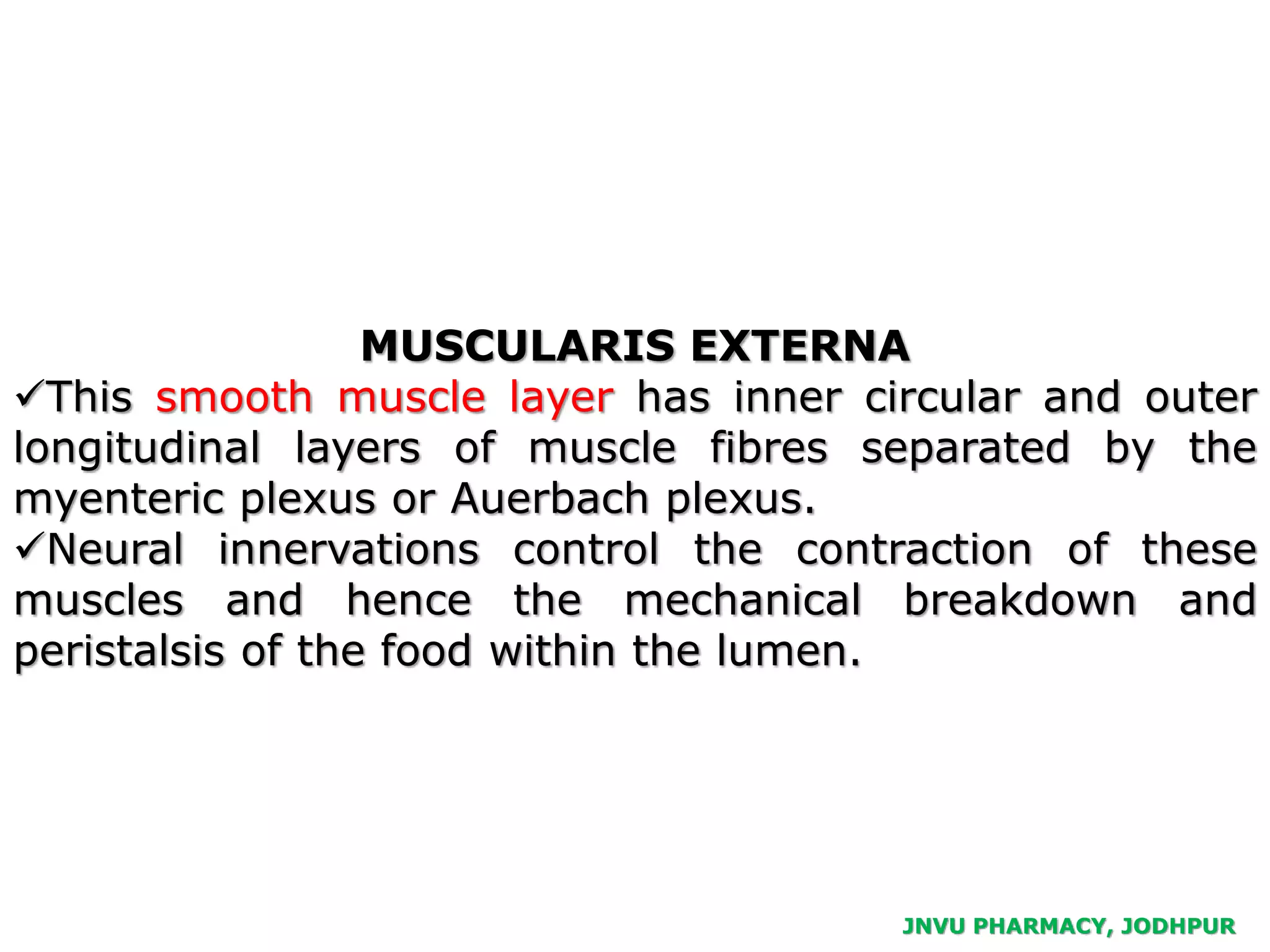 GASTROINTESTINAL TRACT LAYERS | PPTX
