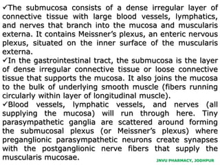 GASTROINTESTINAL TRACT LAYERS | PPTX