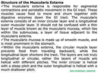 GASTROINTESTINAL TRACT LAYERS | PPTX