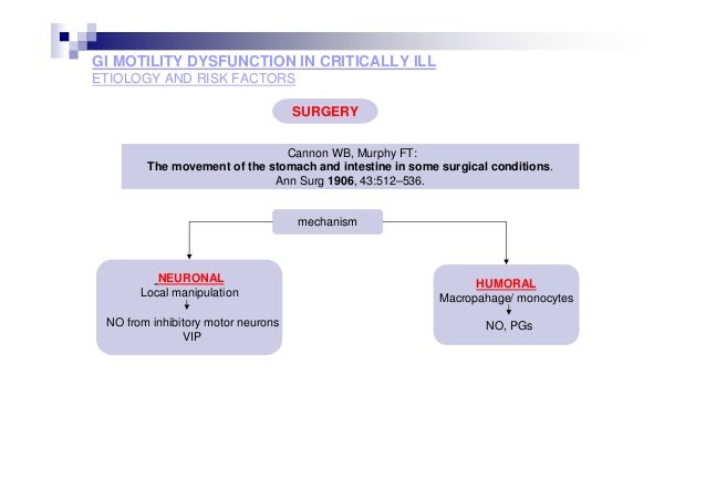 Gastrointestinal motility disorders in critically ill patients