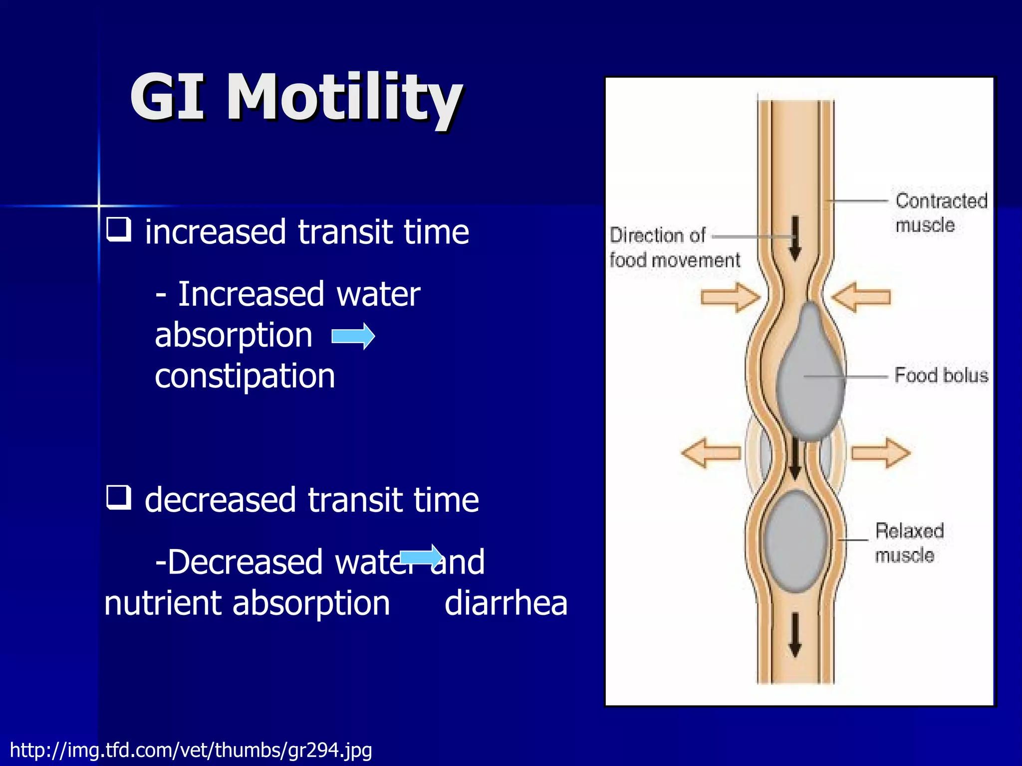 Gastrointestinal Pharmacotherapy.Ppt Final | PPT