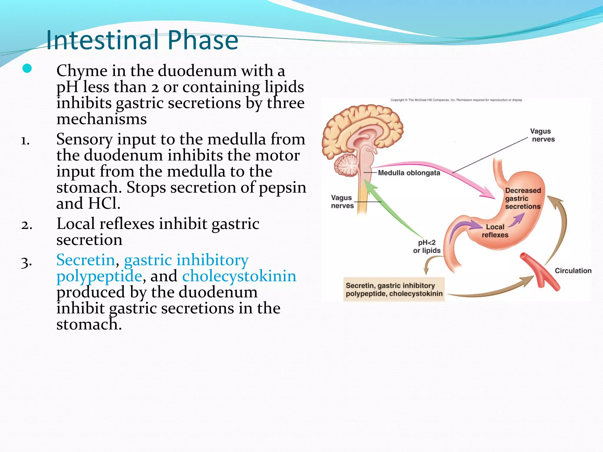 Gastrointestinal physiology | PPT