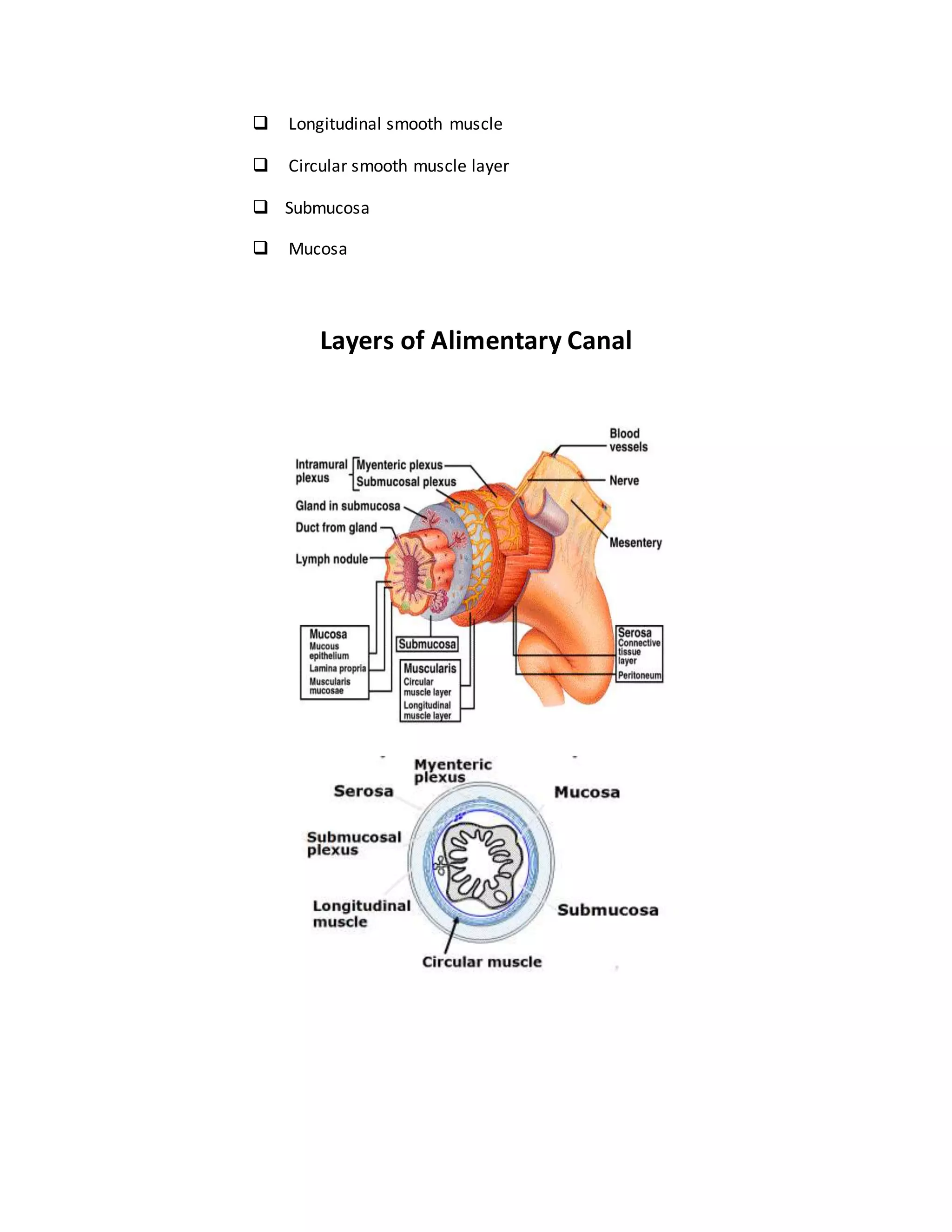 GASTROINTESTINAL PHYSIOLOGY (The Guyton and Hall Physiology) | DOCX