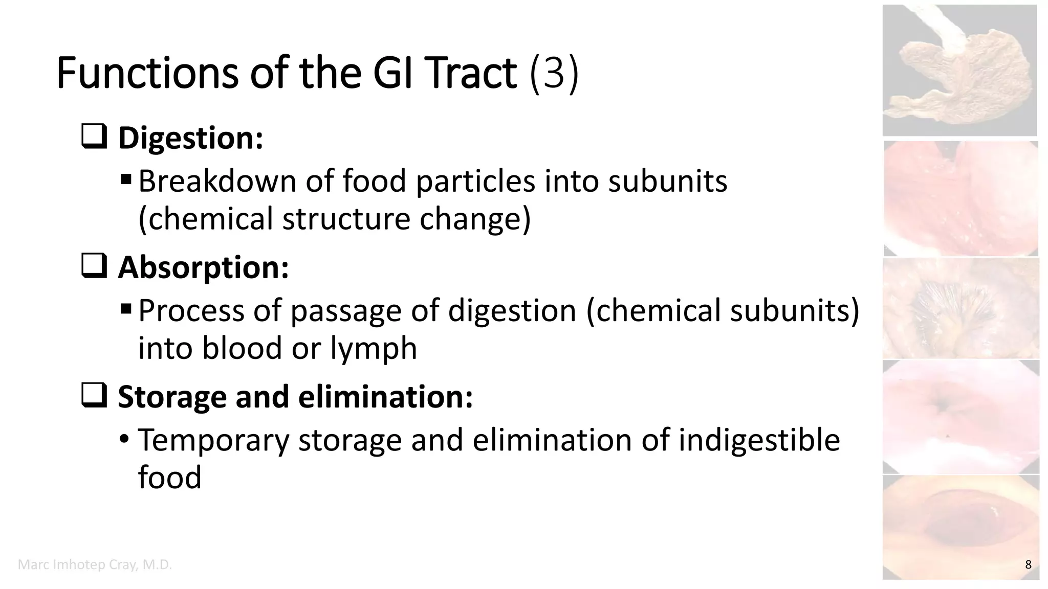 Gastrointestinal Physiology_A Global Overview | PPT