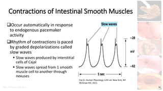 Gastrointestinal Physiology_A Global Overview | PDF | Biological ...