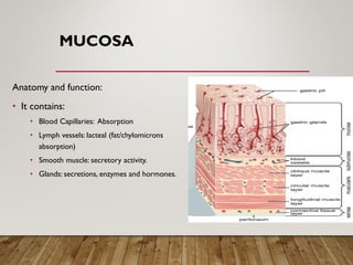 Gastrointestinal physiology - Introduction..pdf