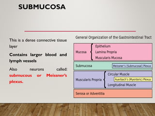 Gastrointestinal physiology - Introduction..pdf