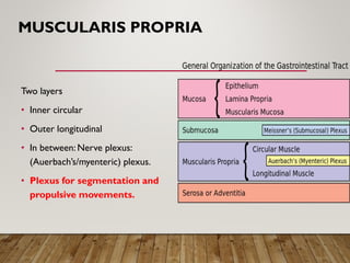 Gastrointestinal physiology - Introduction..pdf