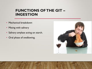 Gastrointestinal physiology - Introduction..pdf