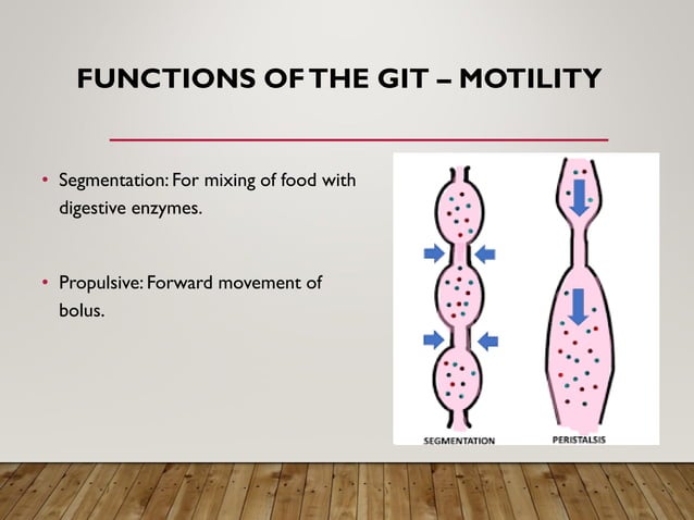 Gastrointestinal physiology - Introduction..pdf