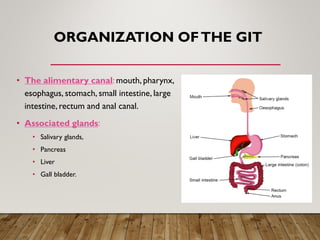 Gastrointestinal physiology - Introduction..pdf