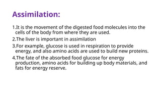 Gastrointestinal Physiology- Organs of GIT and.pptx | Digestive ...