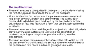 Gastrointestinal Physiology- Organs of GIT and.pptx