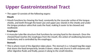 Gastrointestinal Physiology- Organs of GIT and.pptx | Digestive ...