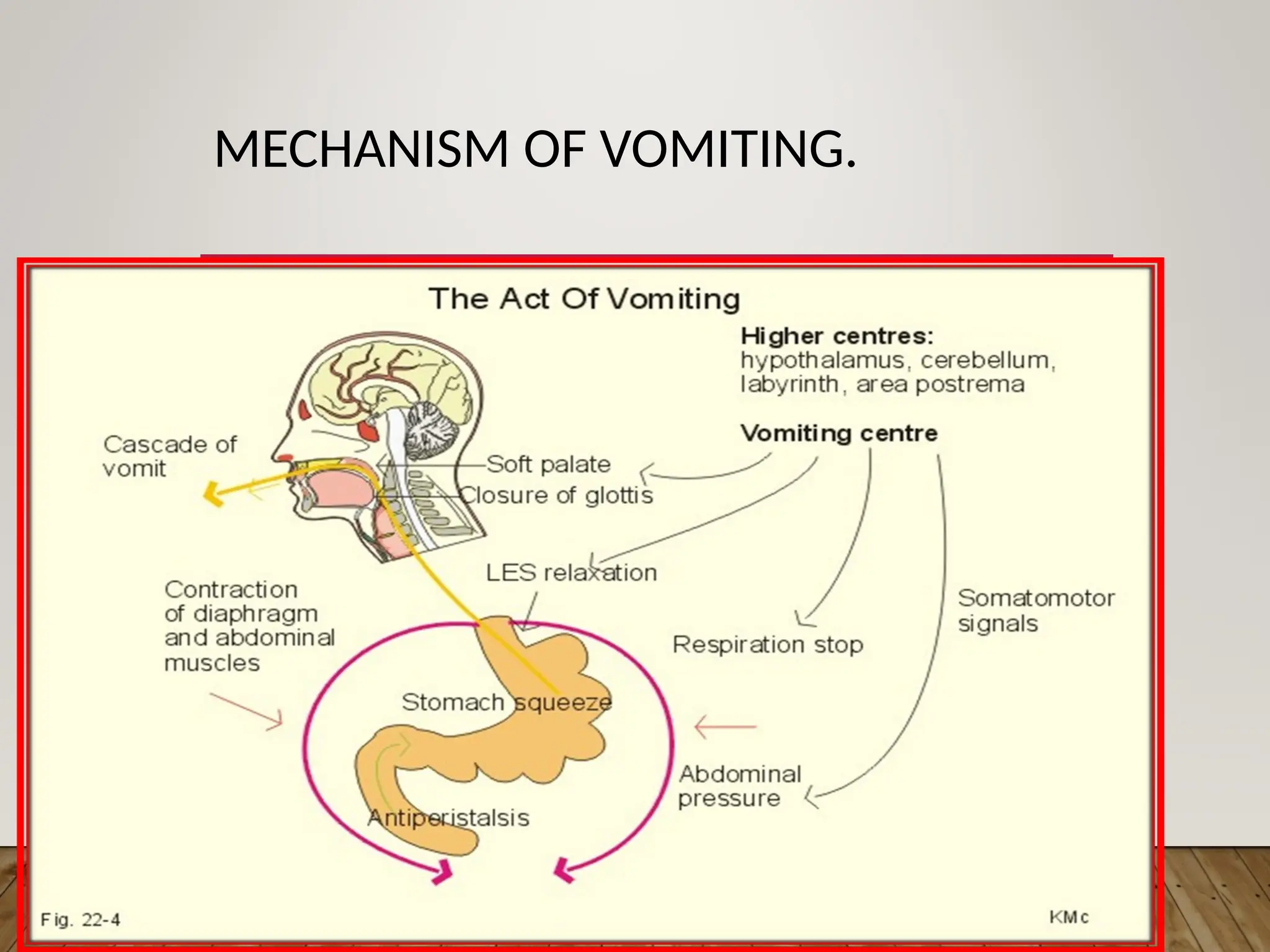 GIT Physiology - Gastrointestinal reflexes..ppt
