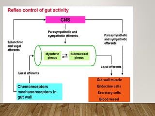 GIT Physiology - Gastrointestinal reflexes..ppt