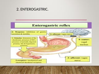 GIT Physiology - Gastrointestinal reflexes..ppt