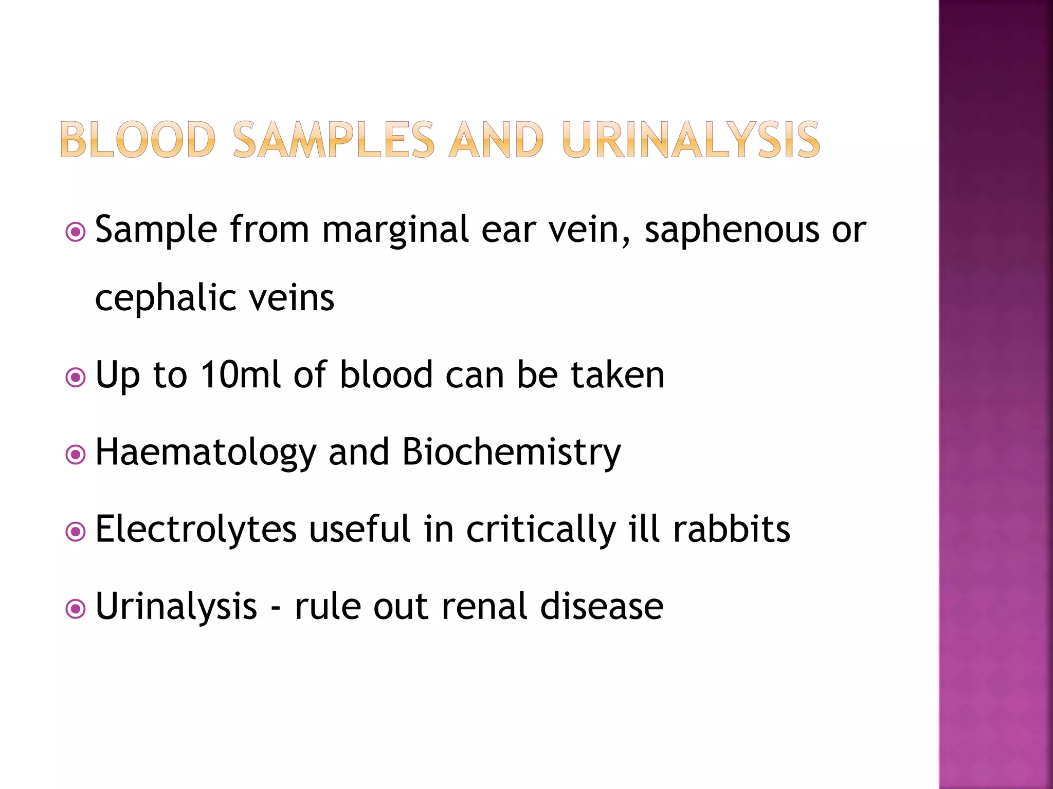 Gastrointestinal stasis in rabbits | PPTX | Digestive Disorders ...