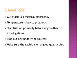 Gastrointestinal stasis in rabbits | PPTX | Digestive Disorders ...