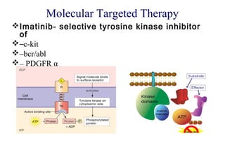 Gastrointestinal stromal tumor (GIST) dr ridu kumar sharma | PPT
