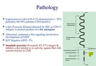 Gastrointestinal stromal tumor (GIST) dr ridu kumar sharma | PPT