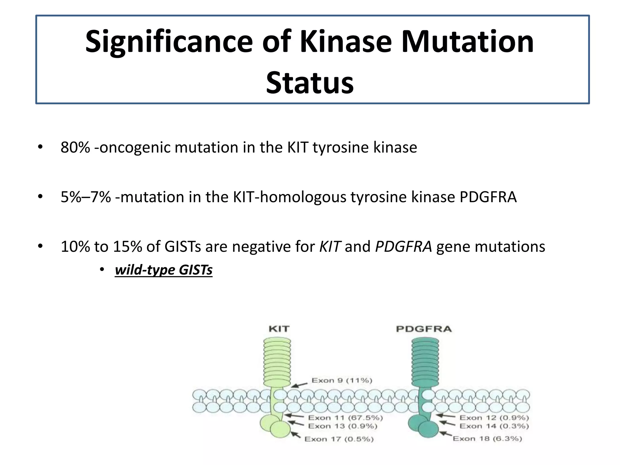 Gastrointestinal stromal tumours | PPTX