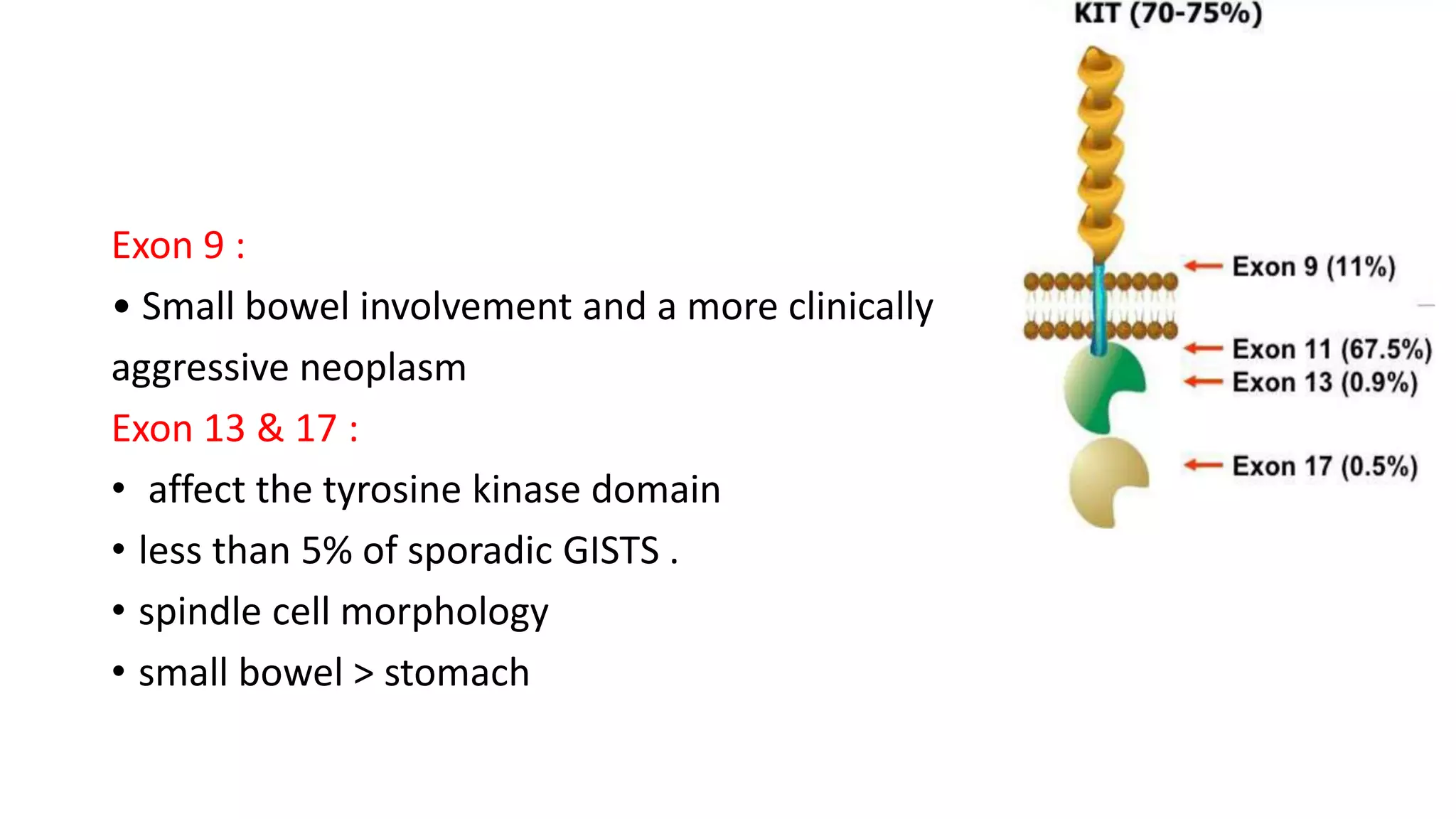 Gastrointestinal Stromal Tumours (GIST).pptx