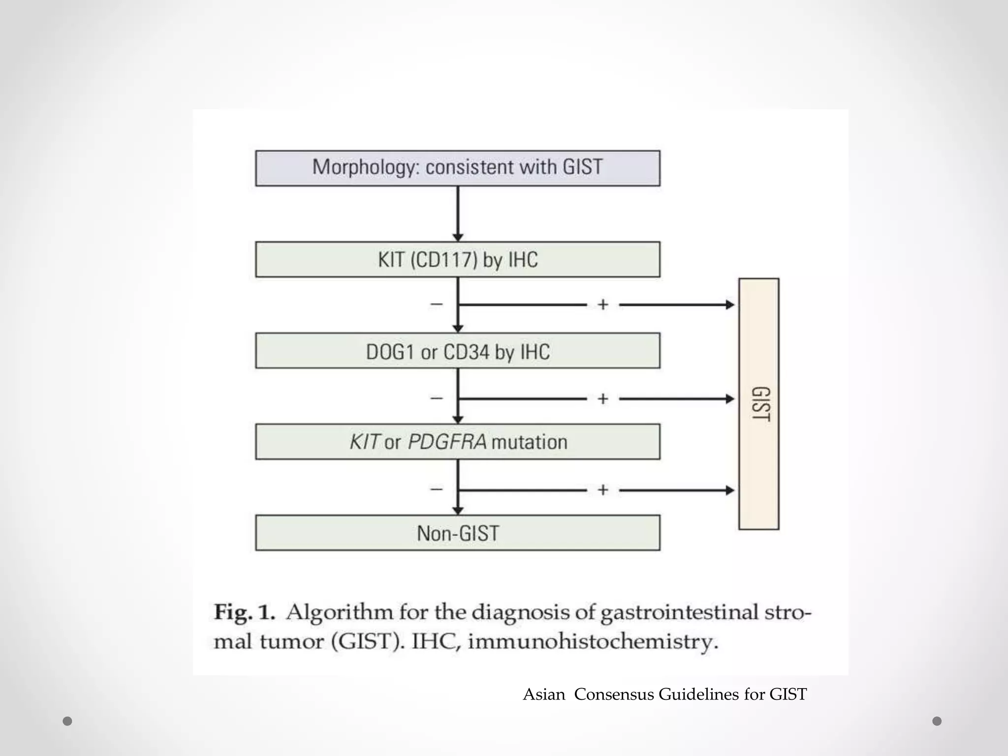 Gastrointestinal Stromal Tumour ( GIST) (D1) | PPTX