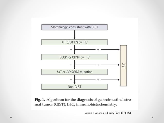 Gastrointestinal Stromal Tumour ( GIST) (D1) | PPT