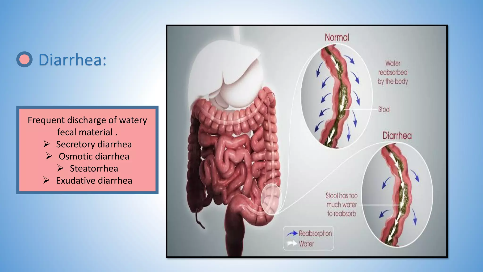Gastrointestinal symptoms (2) | PDF