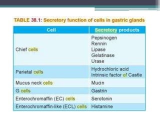 Functions of Gastrointestinal system | PPTX