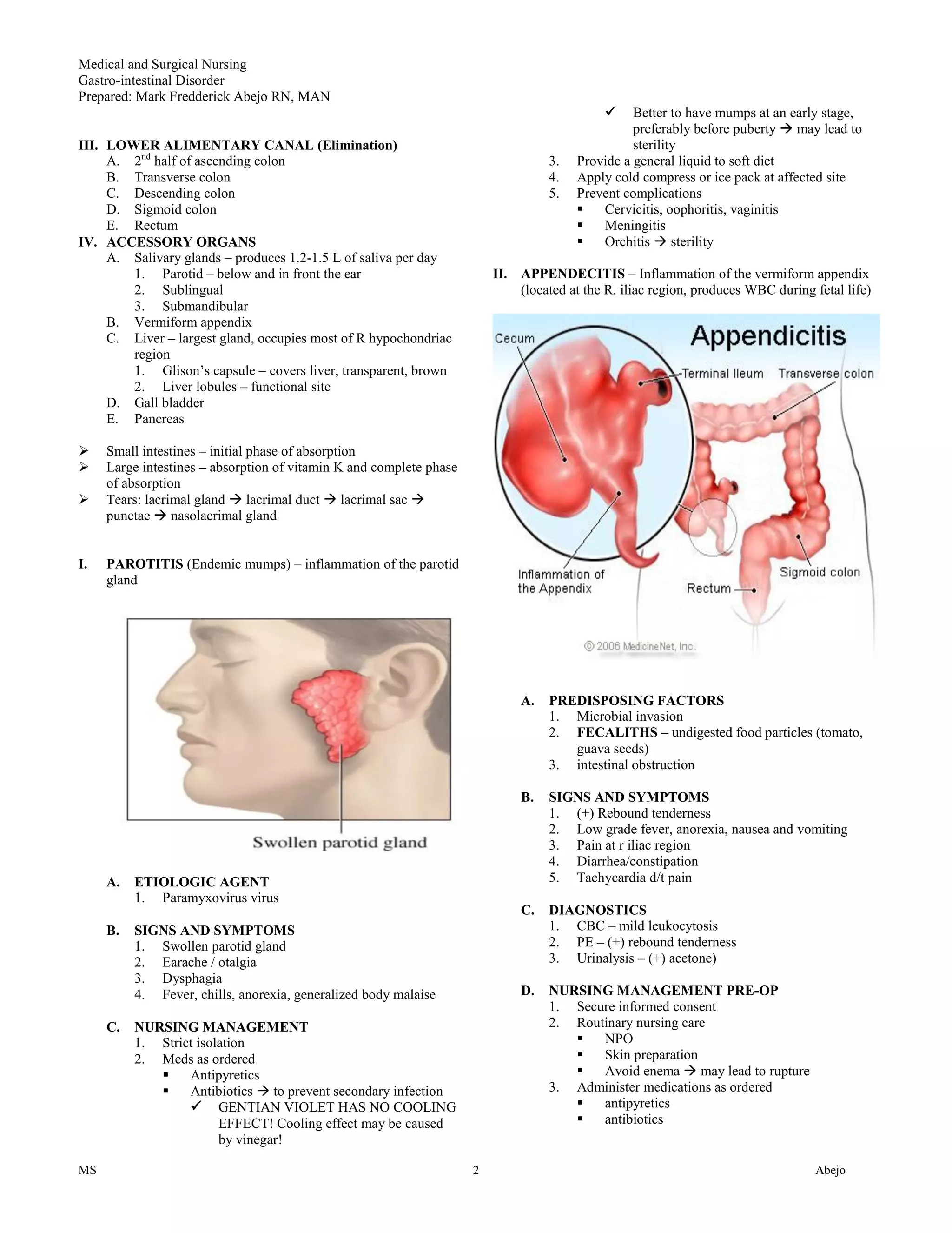 Gastrointestinal system | PDF