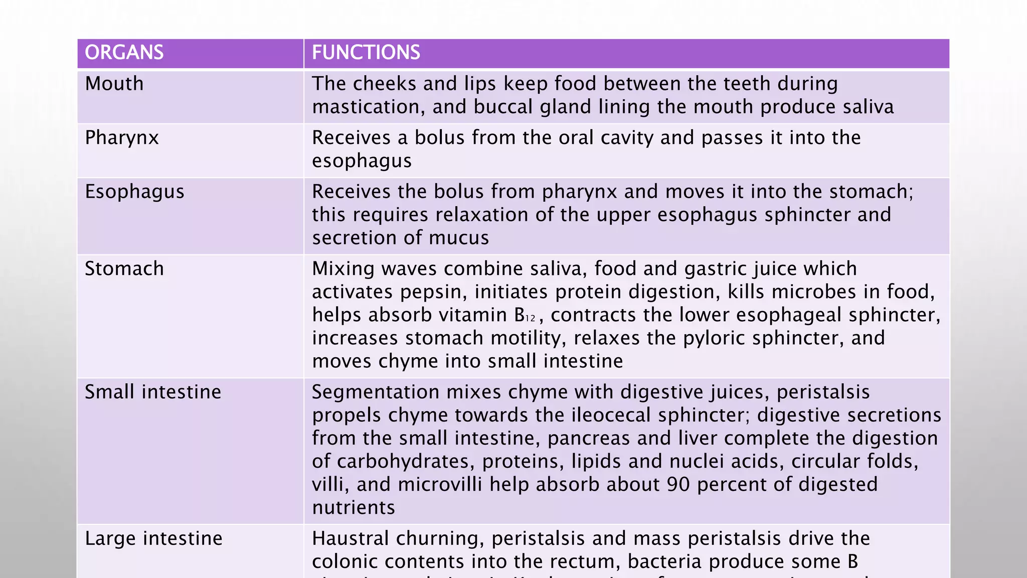 Gastrointestinal System.pptx