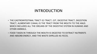 Gastrointestinal System.pptx