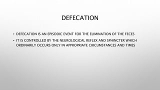 Gastrointestinal System.pptx