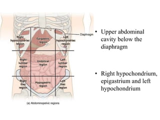 GASTRO INTESTINAL SYSTEM Of HUMAN BODY SYSTEM | PPTX
