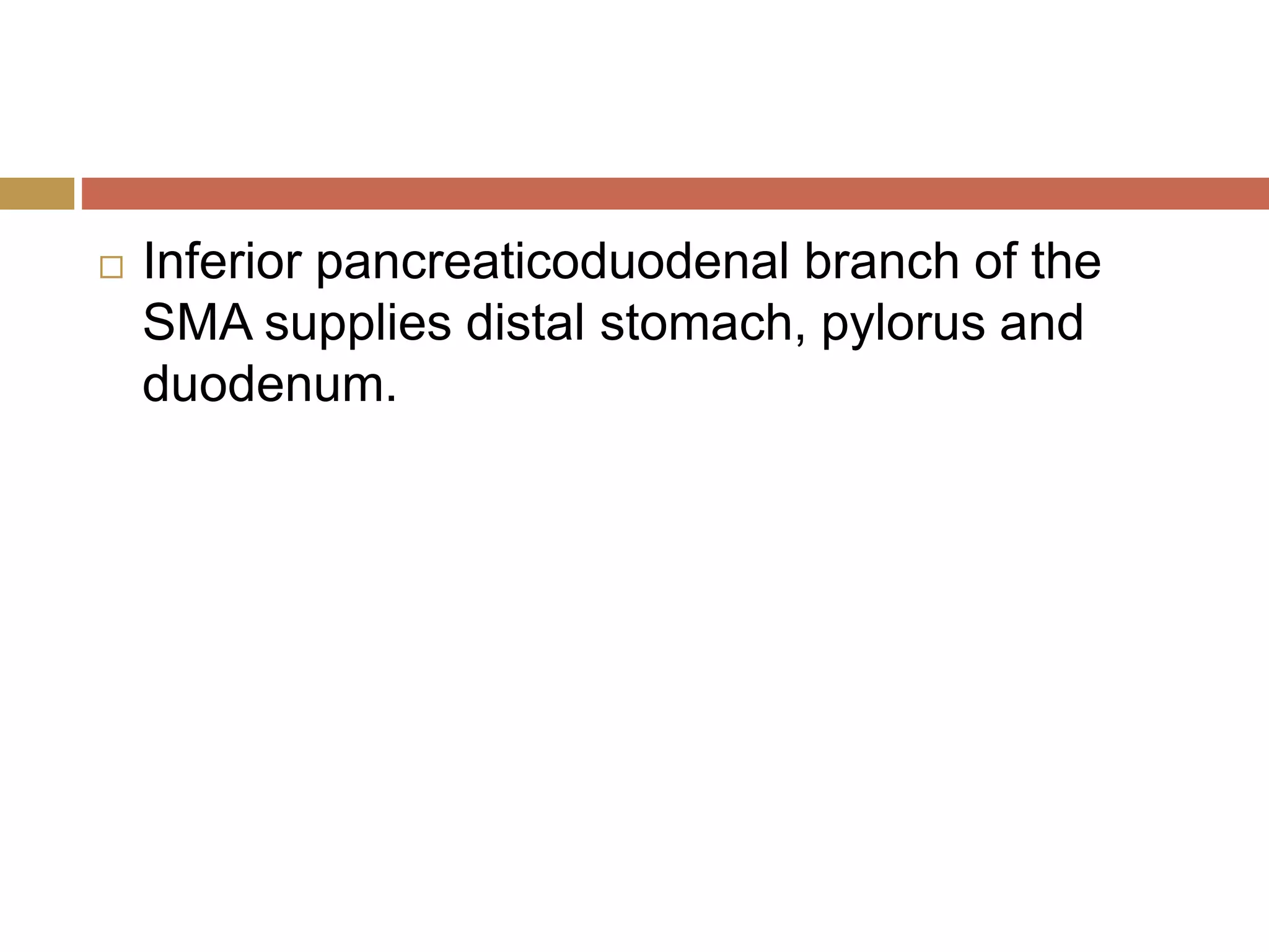 Gastro intestinal system anatomy | PPTX