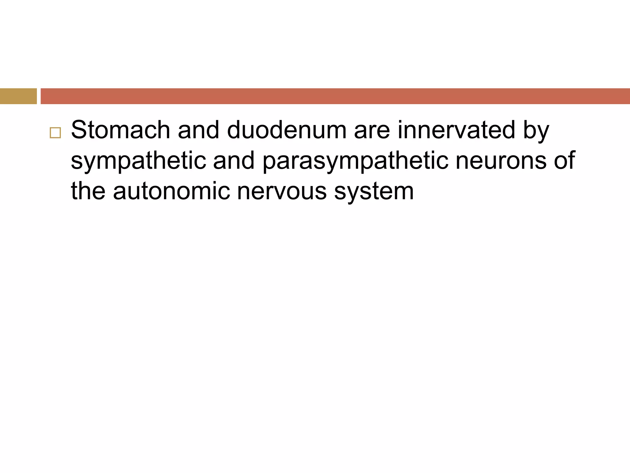 Gastro intestinal system anatomy | PPTX