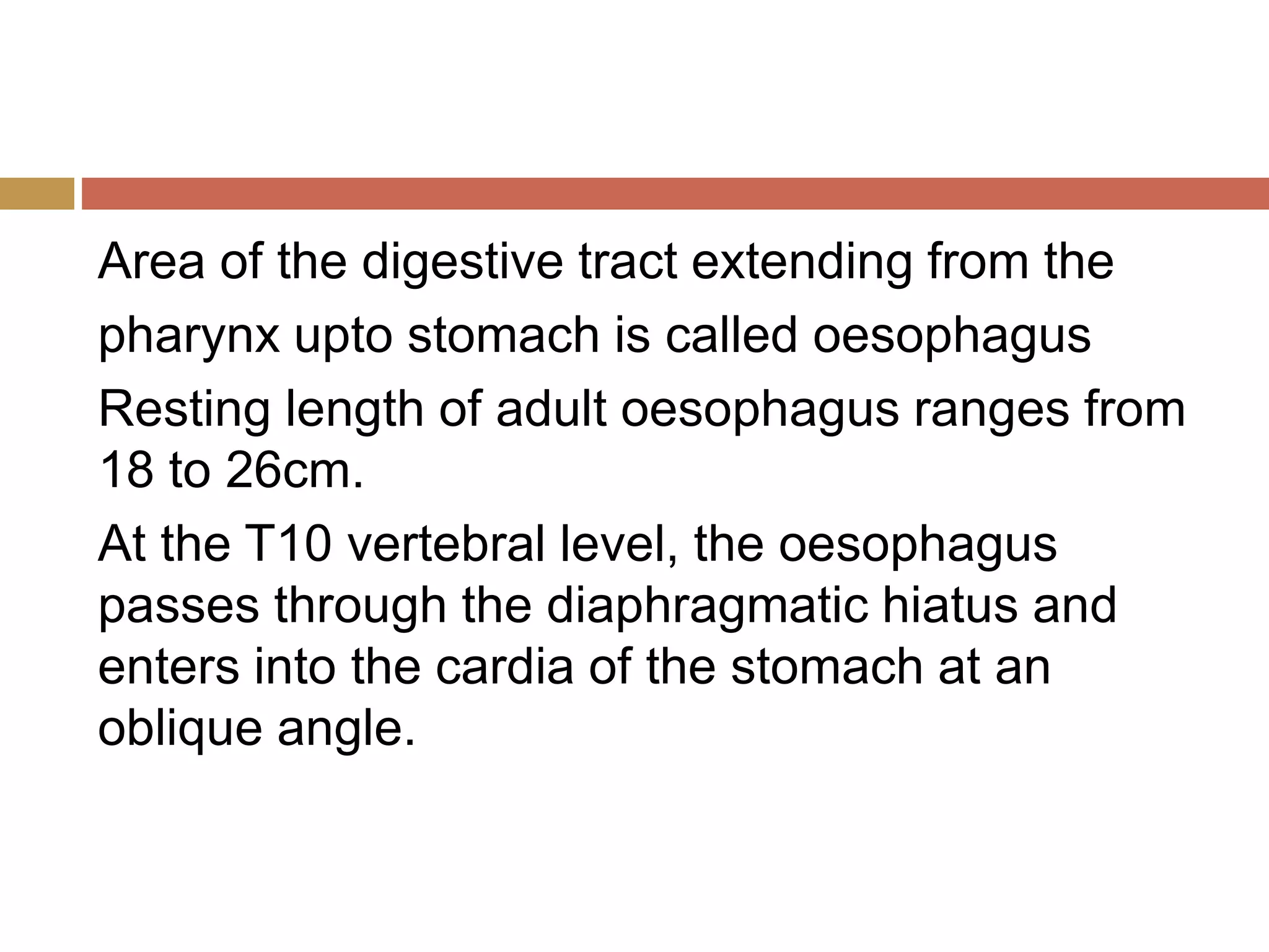 Gastro intestinal system anatomy | PPTX