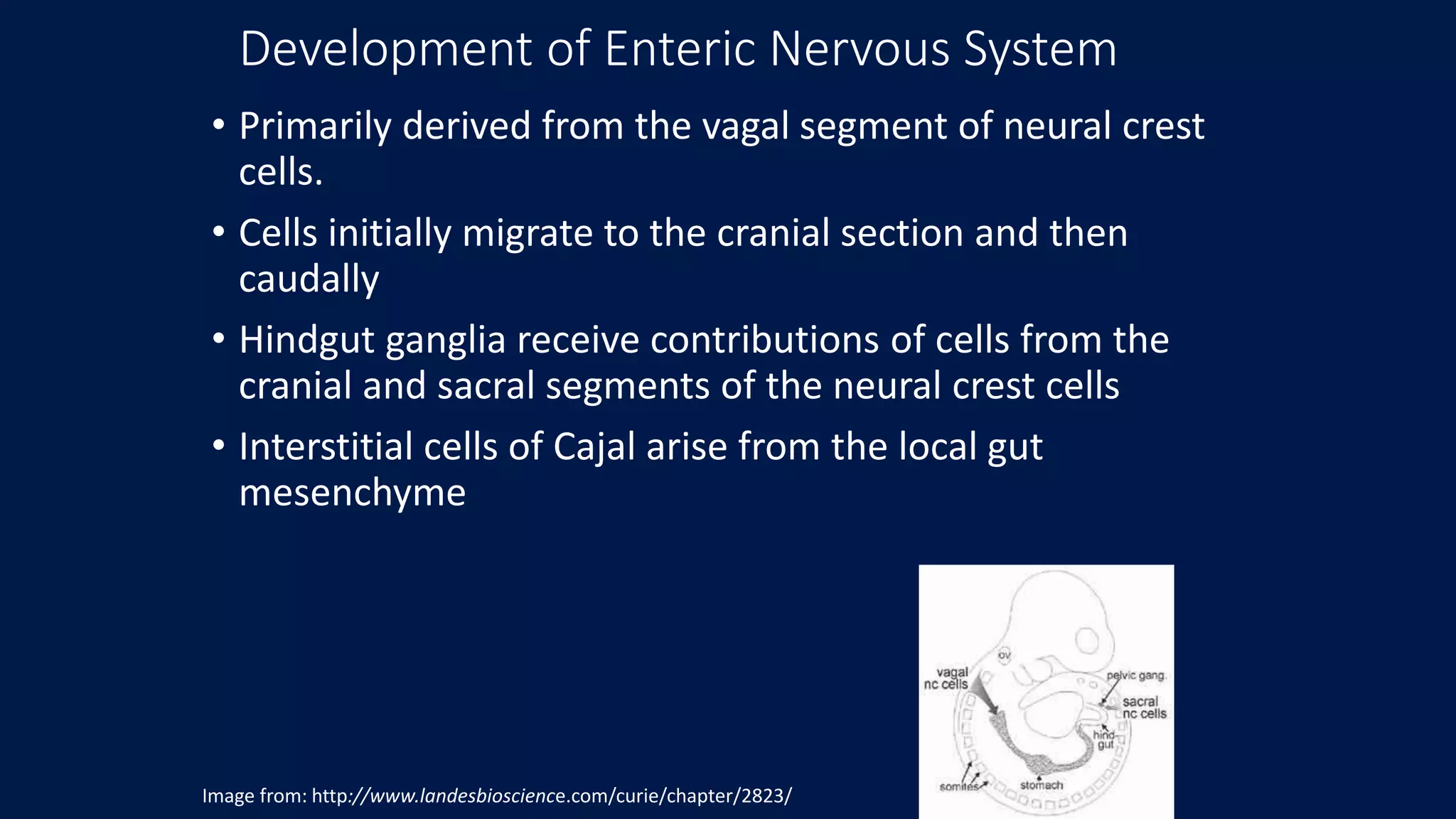 Gastrointestinal system embryology | PPTX