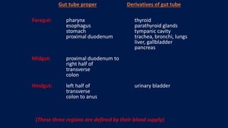 Gastrointestinal system embryology | PPTX