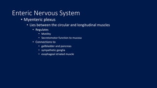 Gastrointestinal system embryology | PPTX
