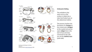 Gastrointestinal system embryology | PPTX