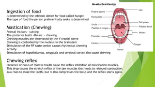 Gastrointestinal System I.pptxfxghxfhfxghghg | PPTX