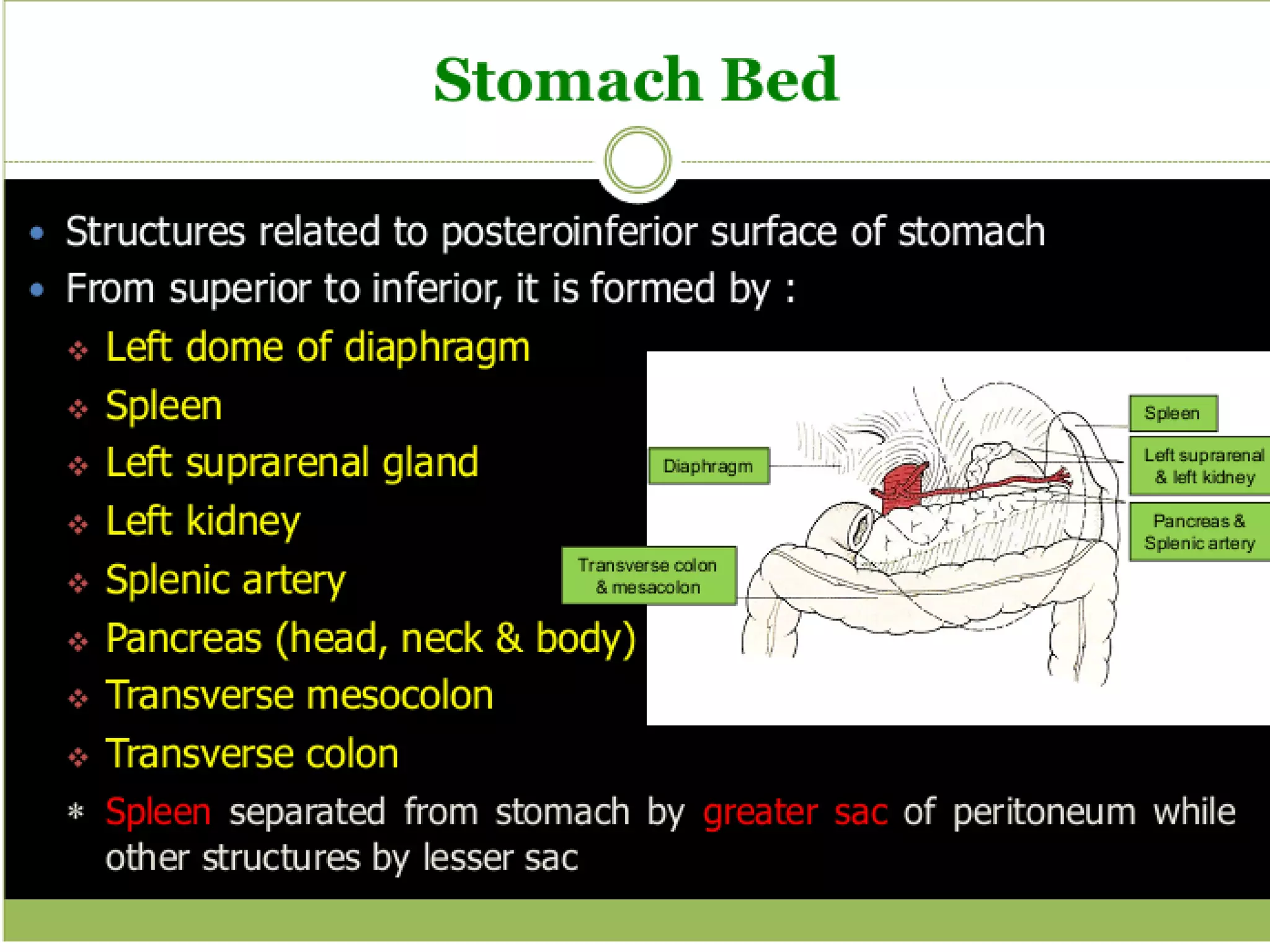 Gastro intestinal track | PDF