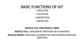 Gastrointestinal tract | PPT