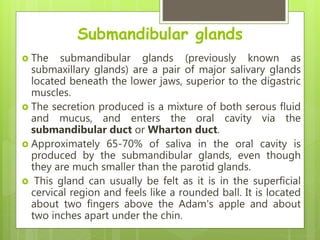 Gastrointestinal Tract: Anatomy & Physiology | PPTX