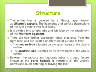 Gastrointestinal Tract: Anatomy & Physiology | PPTX