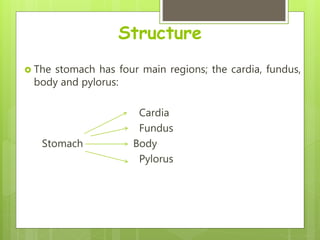Gastrointestinal Tract: Anatomy & Physiology | PPTX